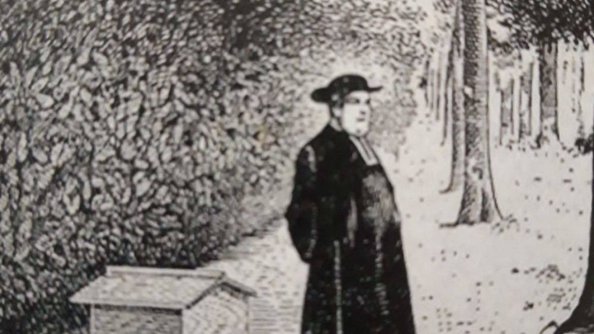 Warré - Mielardenne