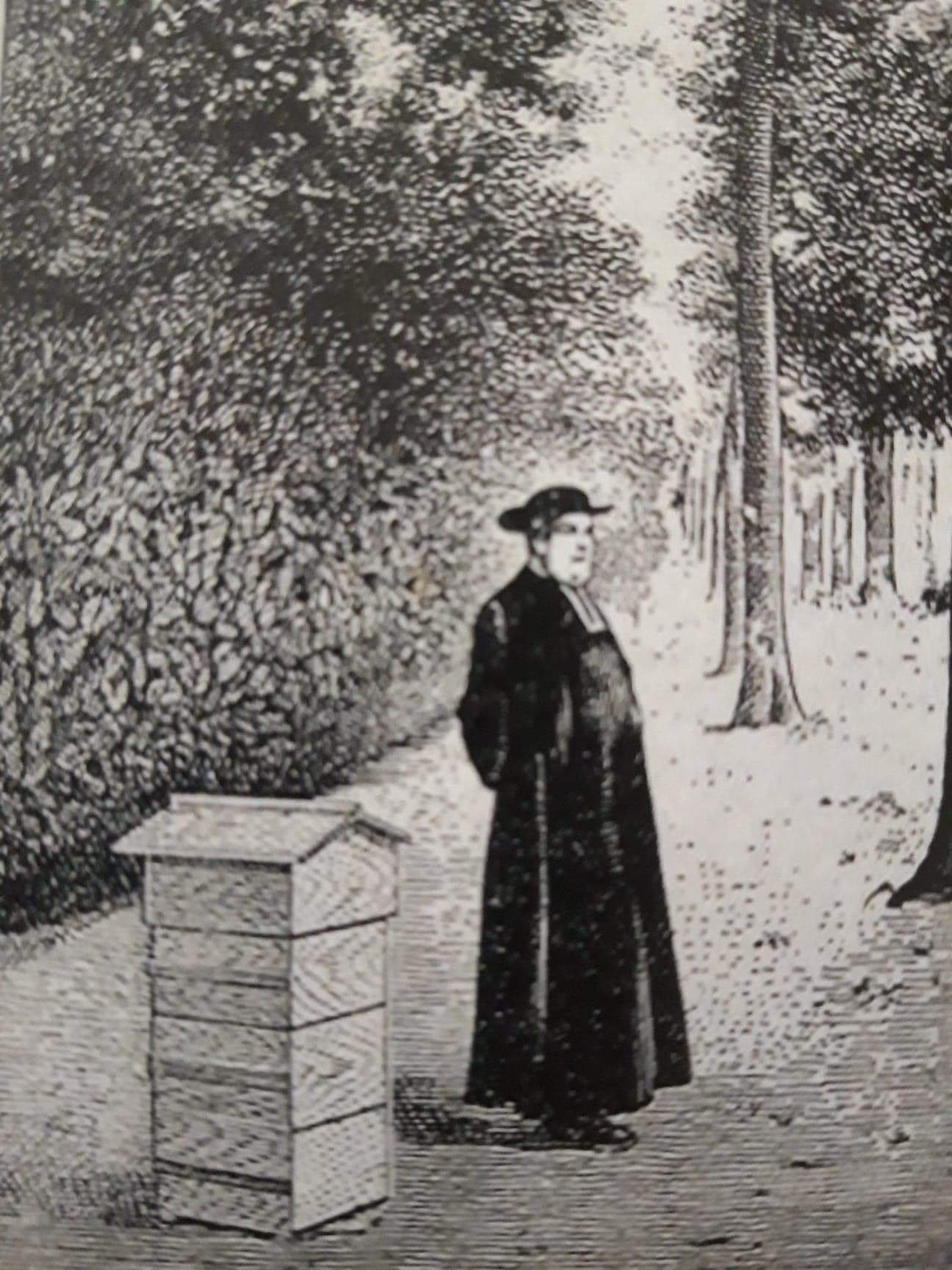 Warré - Mielardenne