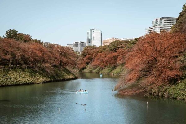 The best 5-day Tokyo itinerary - Tokyo guide