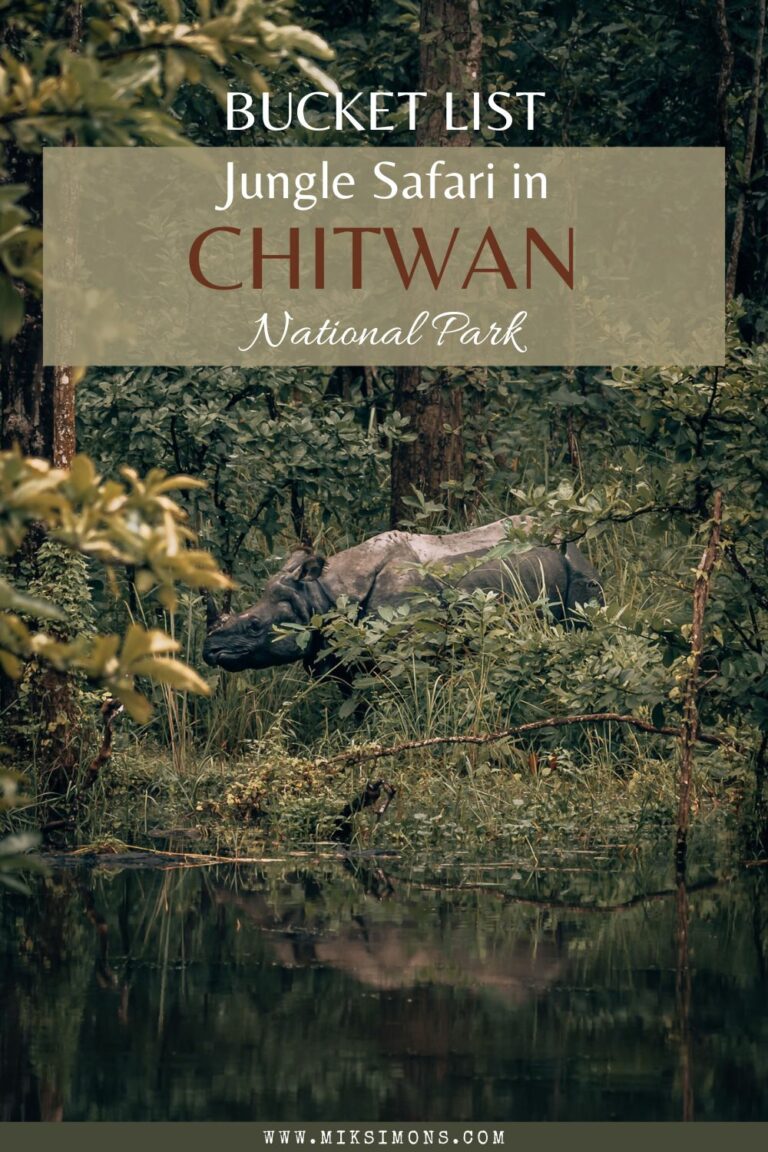 6 great reasons to experience A jungle safari in Chitwan National Park