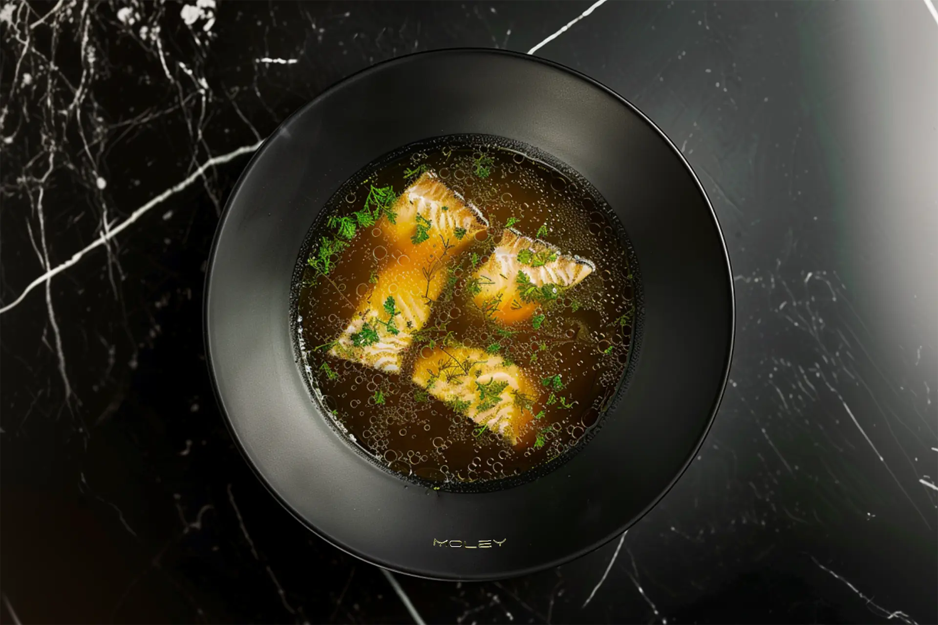 Fish Broth - Moley Robotics