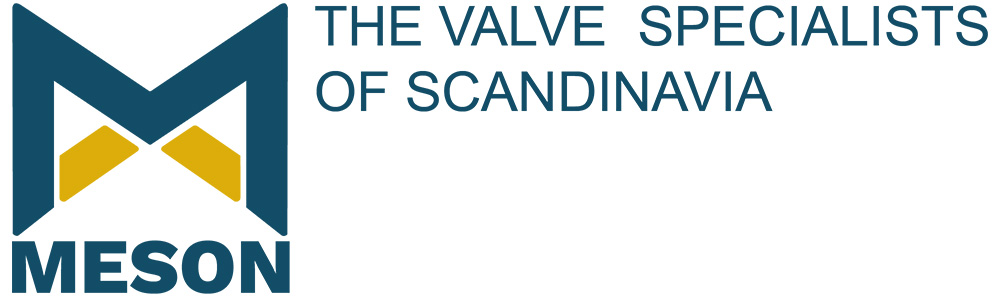 Meson Group - Kundcase | Moln1