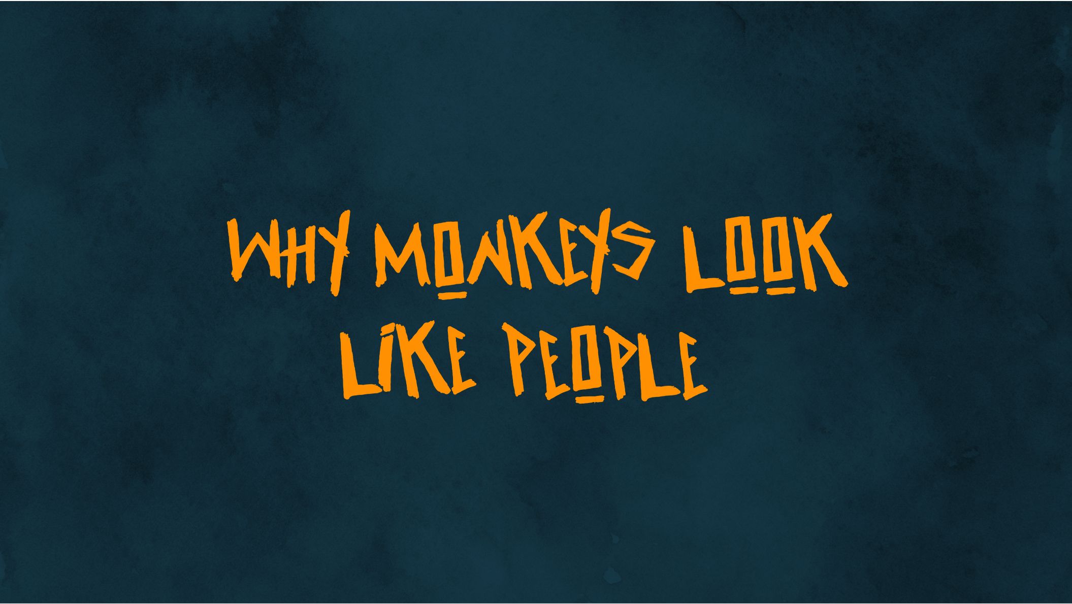 Why Monkeys Look Like People - More Than Stories