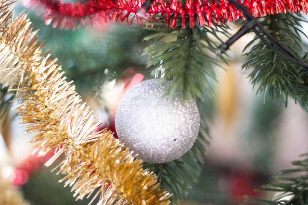 December Vibes - Mycafe101