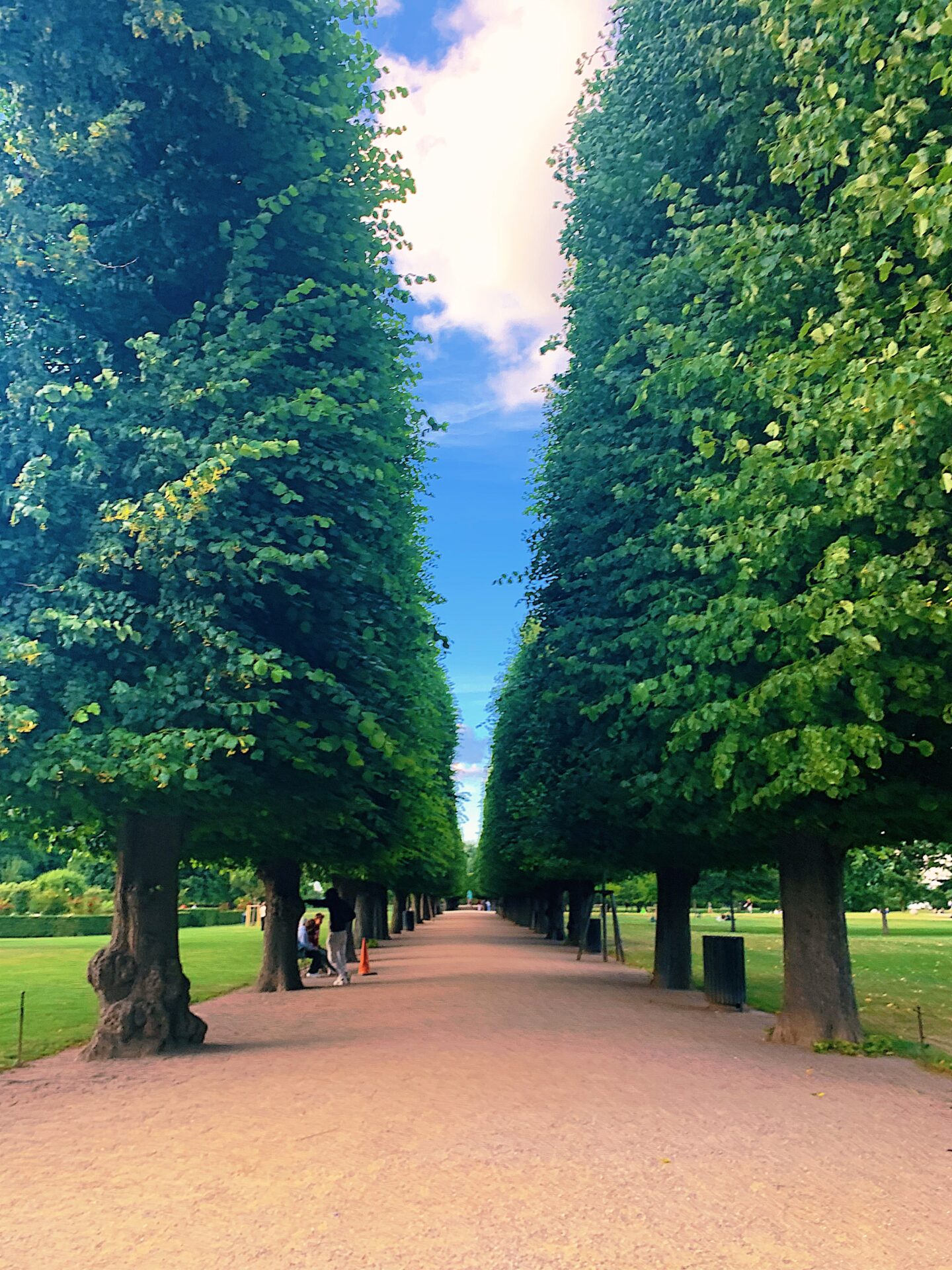 Appa's birthday celebration at Bazaar - Mycafe101