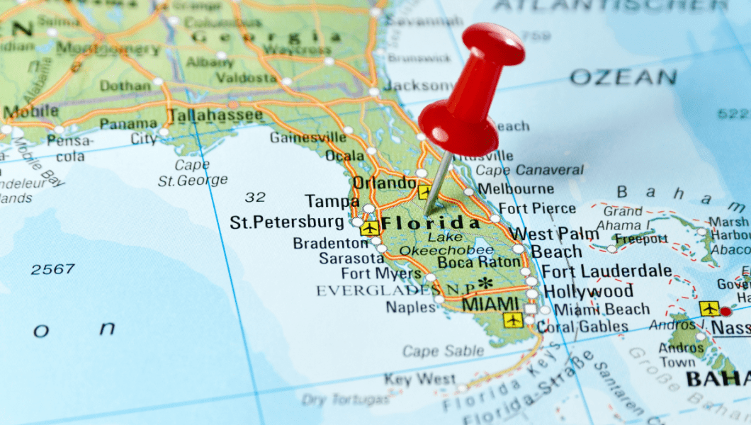 Florida's Lethality Assessment: A Coercive Control Intervention