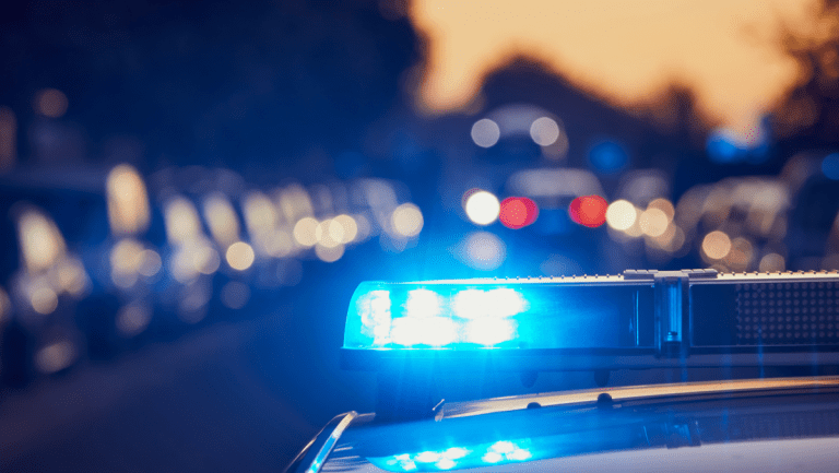 Florida's Lethality Assessment: A Coercive Control Intervention