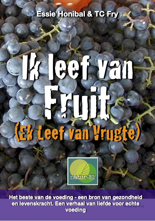 de weg naar waar het fruit groeit – Natur-El