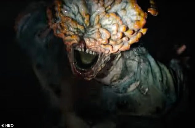 Revolting Video Shows Caterpillar Infected By Zombie Fungus From The Last Of Us Newsgroove Uk
