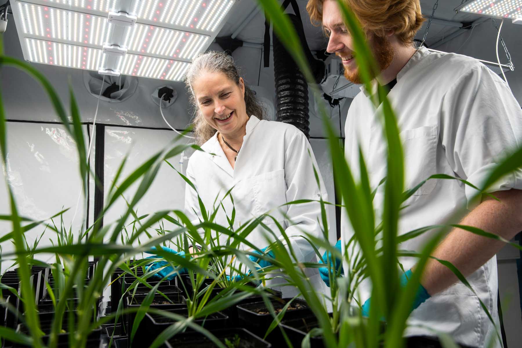 Home - Nordic Microbes