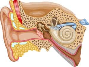 Ear Wax Micro-Suction - We Care - The Nottingham Hearing Practice