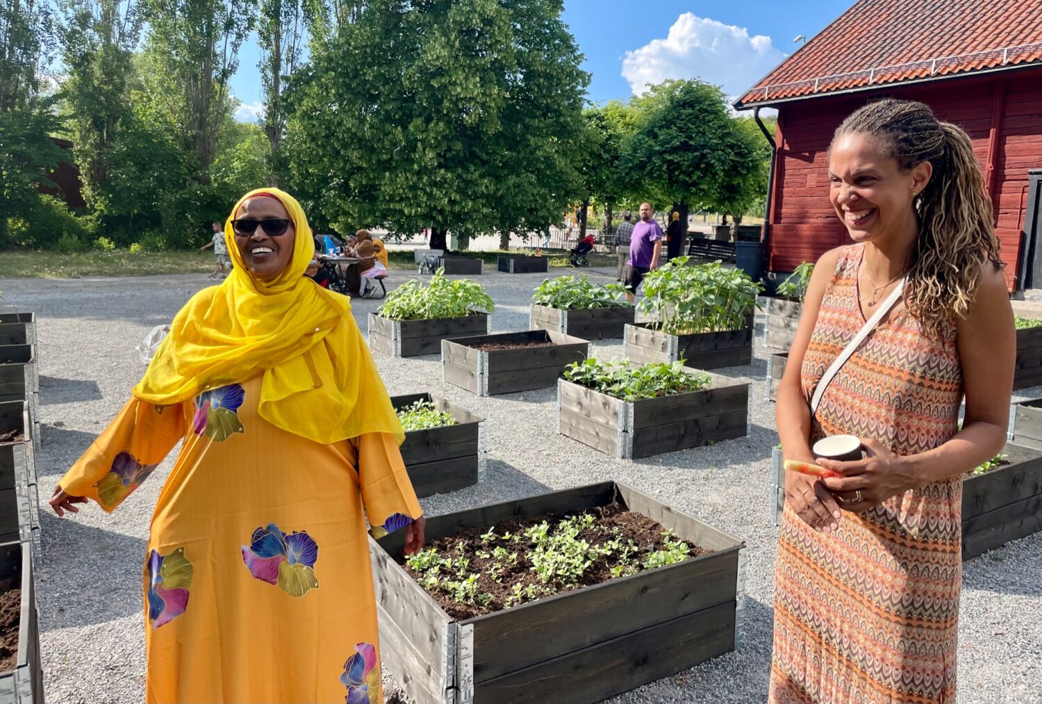 Geesgud odlar för framtiden i Spånga by - Nyhetsbyrån Järva