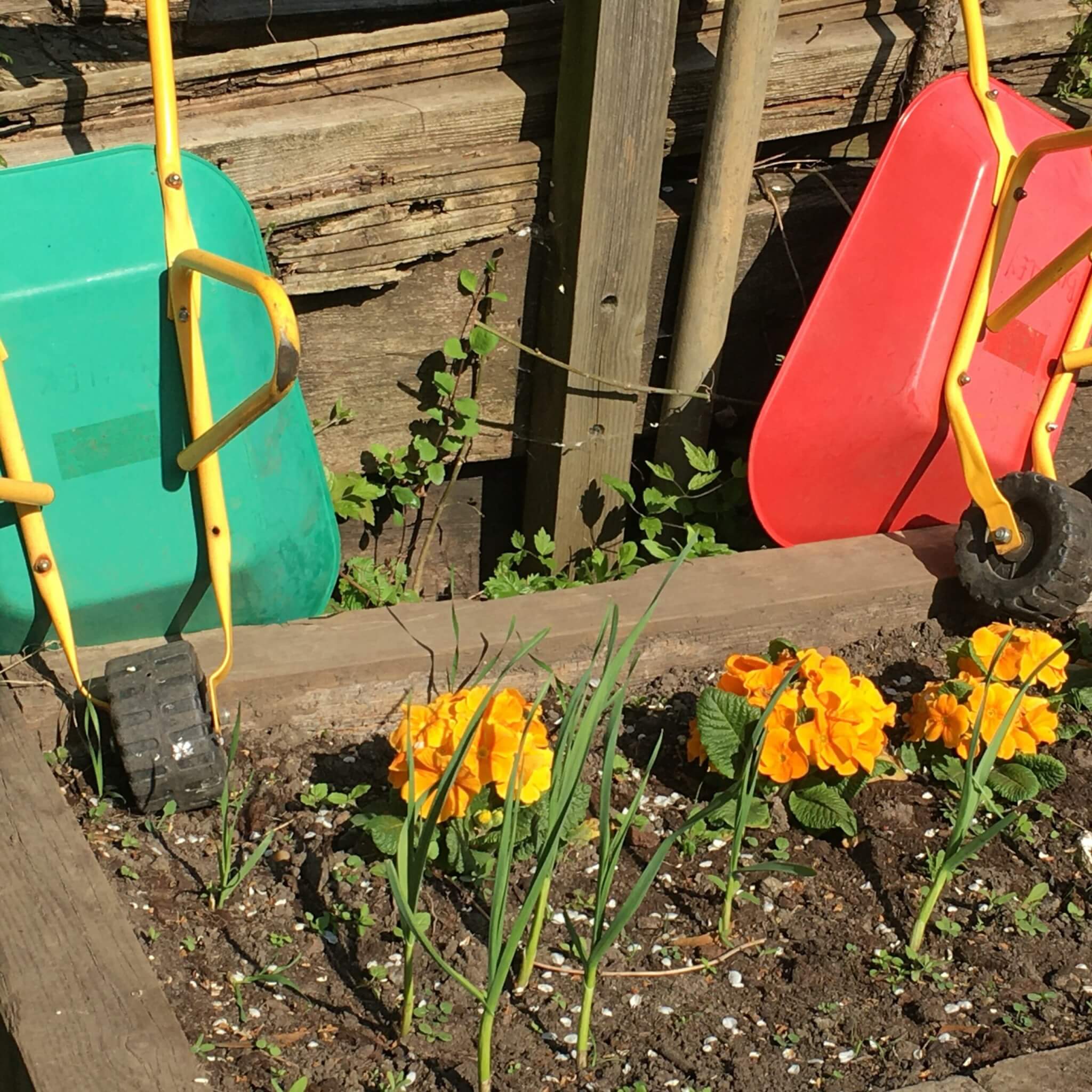 Gallery - Olden Community Garden