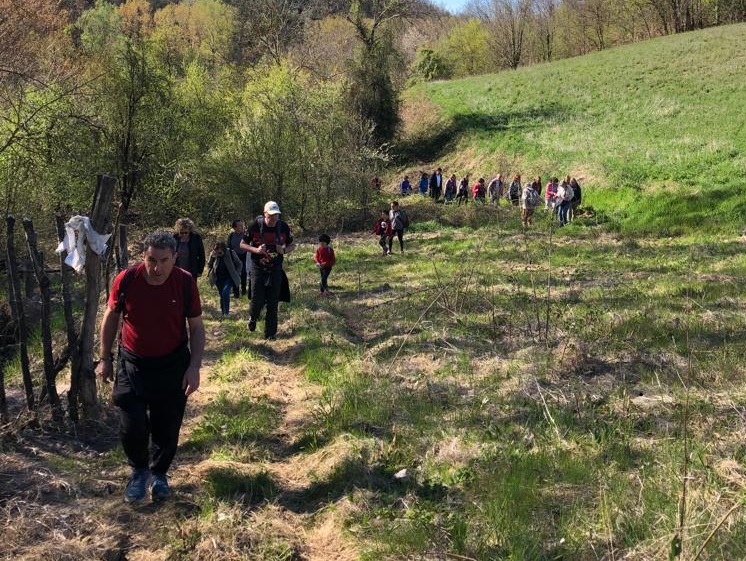 Sabato 15 e domenica 16 aprile due passeggiate didattiche sulle erbe ...