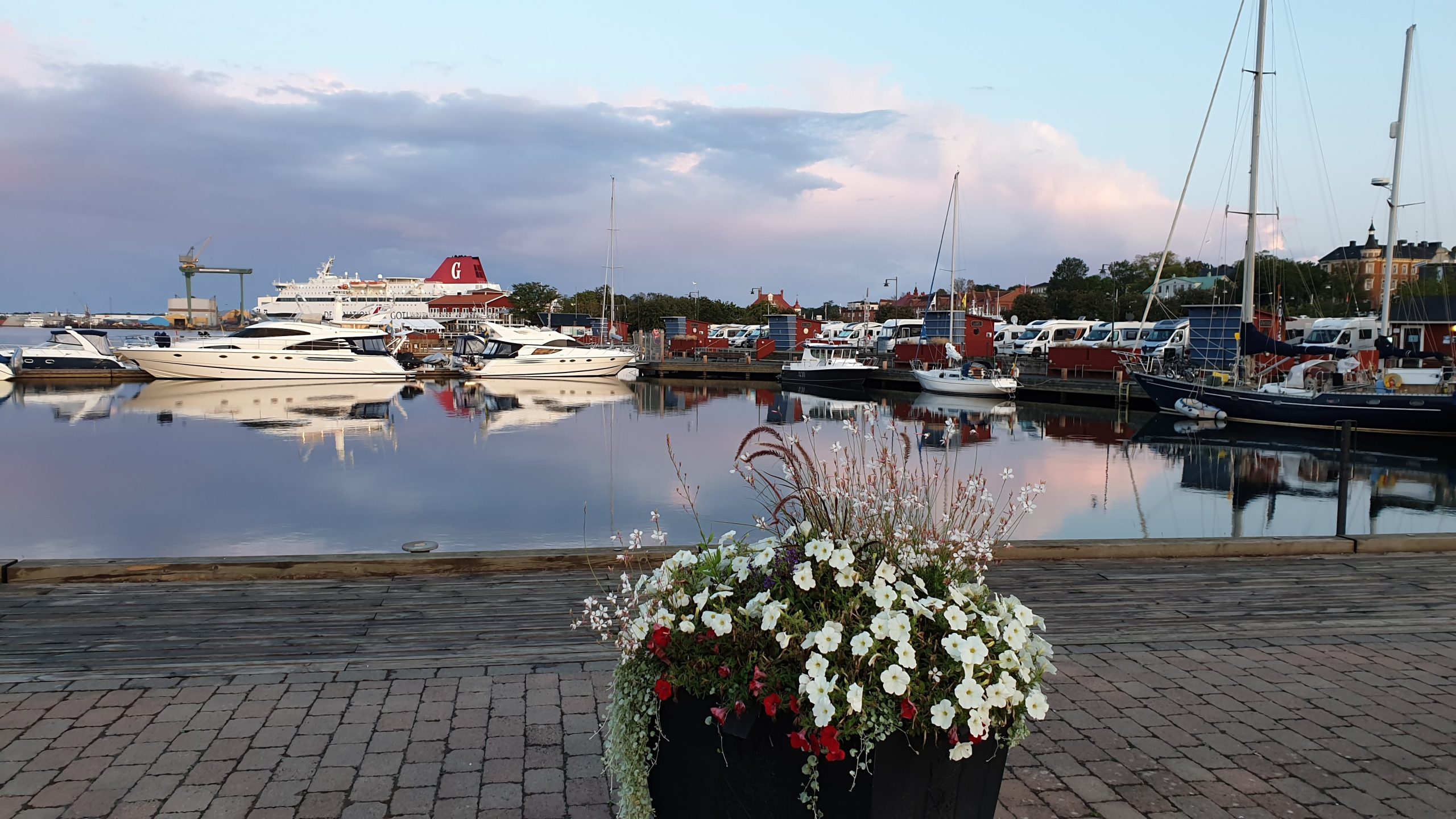 Oskarshamns kommun söker en arrendator till... | Oskarshamns-Nytt