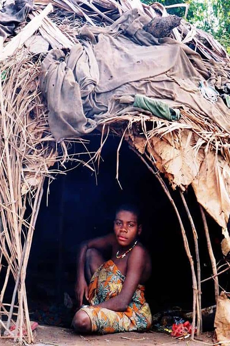 Uncover the Secrets of Dzanga Sangha National Park - outback-africa.net