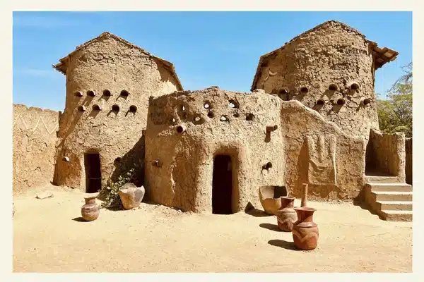 Zakouma Park & Gaoui Potter Village Tour - outback-africa.net