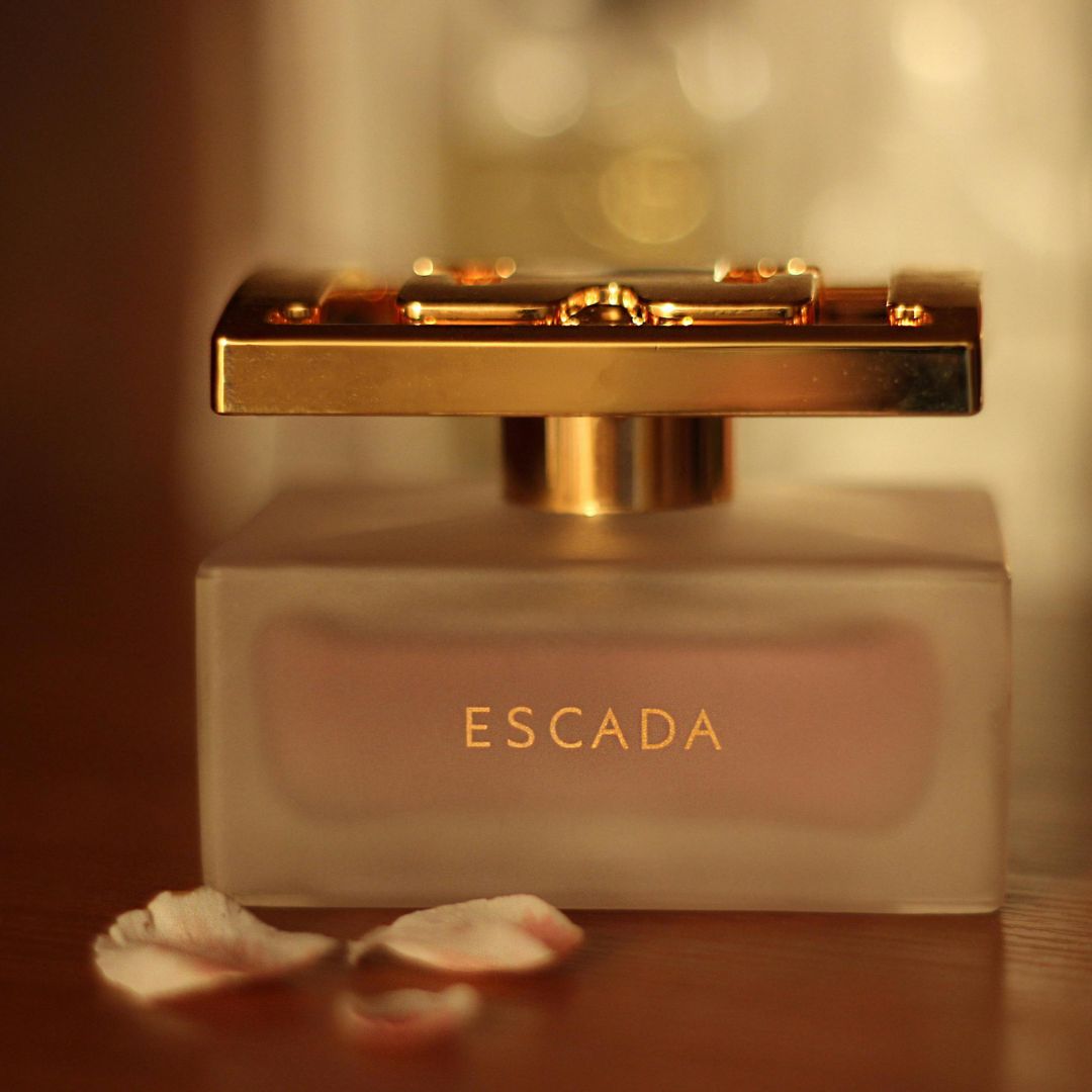 Bästa Escada Parfymer – Topp Escada Dofter | Parfymguide.se