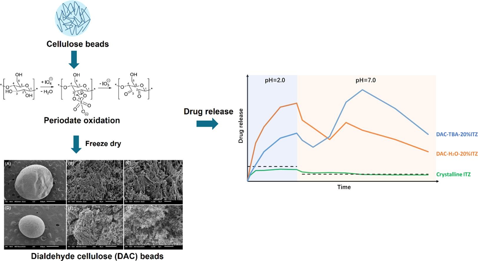 Porous Soluble Dialdehyde Cellulose Beads A New Carrier For The Formulation Of Poorly Water