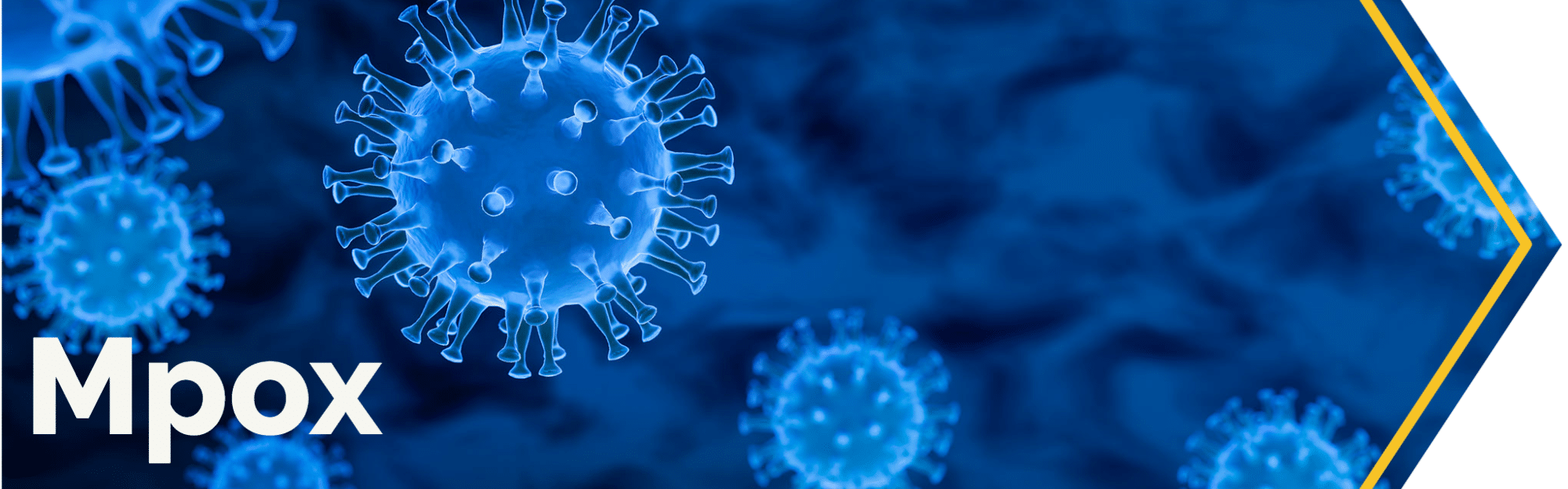 Mpox Disease: Assessing the Risks Amidst Global Concerns - Pen Agency News