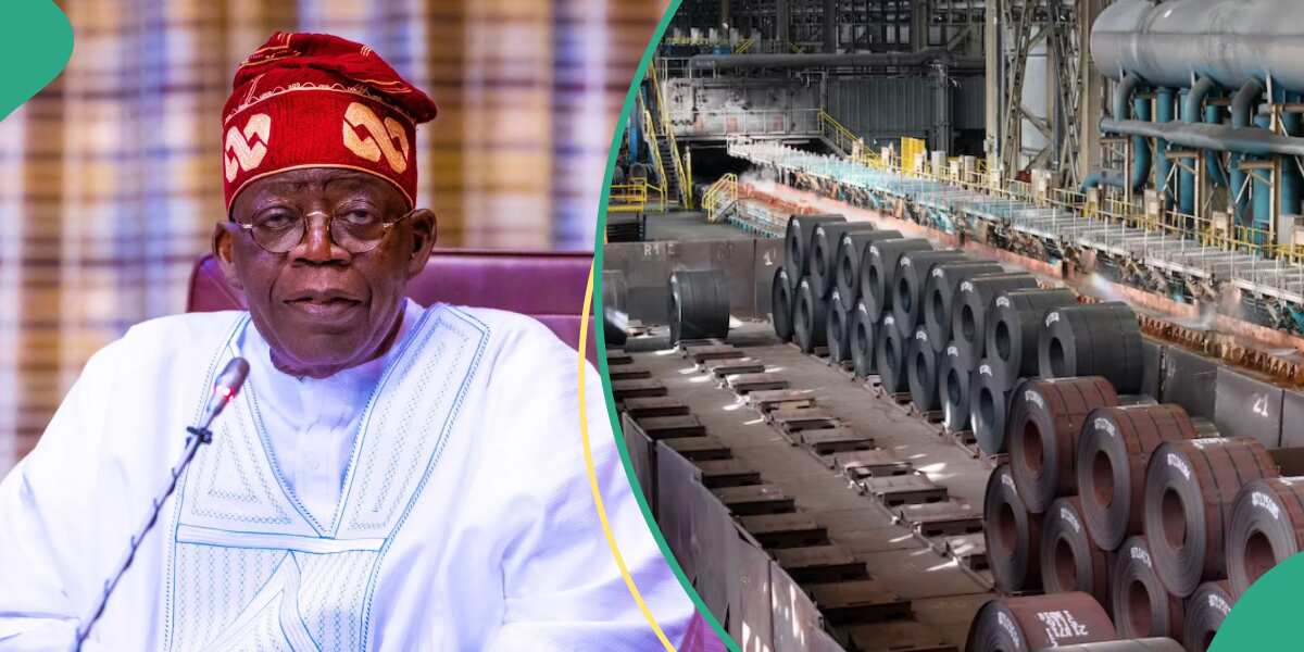 Ajaokuta Steel: A Monument of Wasted Resources - Pen Agency News