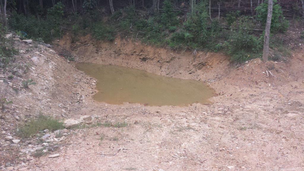 My Ponds with Photos – Welcome to Bob's Garden