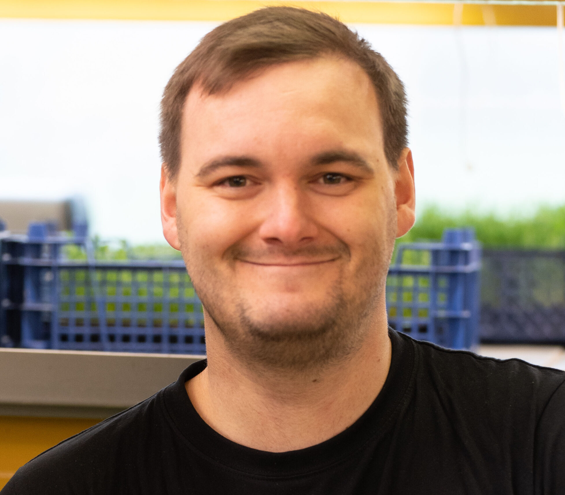 Alex Pichardt - Plantebranchen