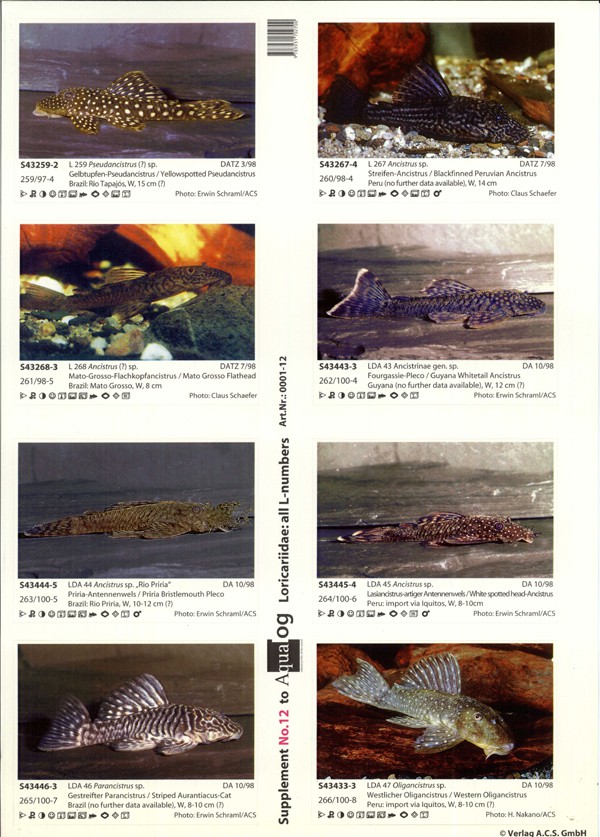 AQUALOG SUPPL. LORICARIIDAE 12 - Planteimporten