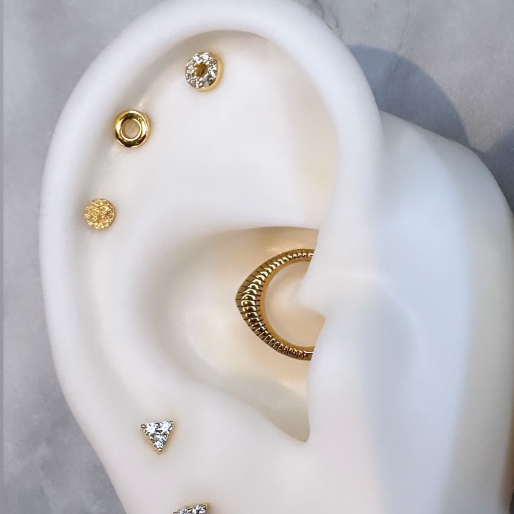 Puma Labret (Gold & Silver) - Posh Piercing