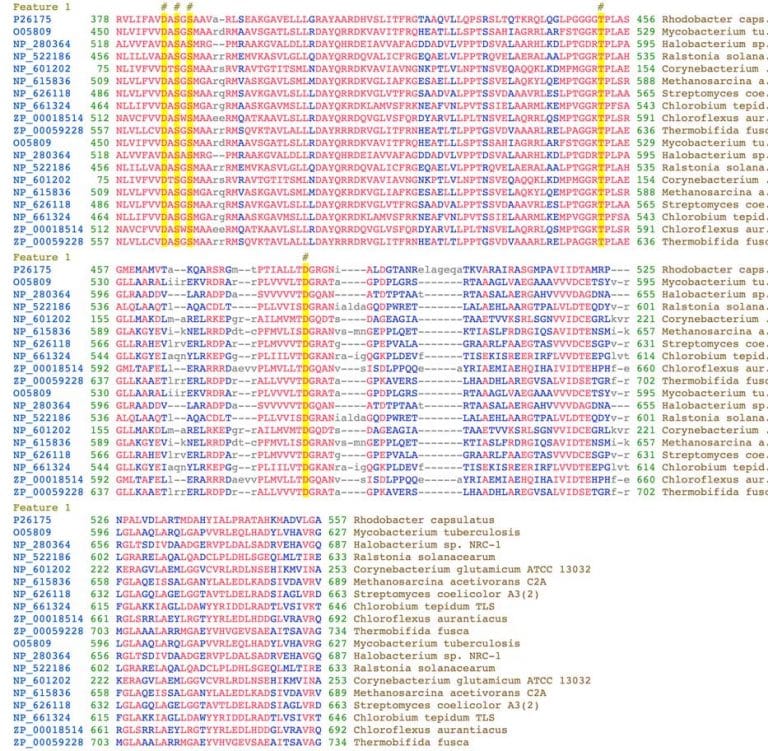 Multiple Sequence Alignment Tutorial