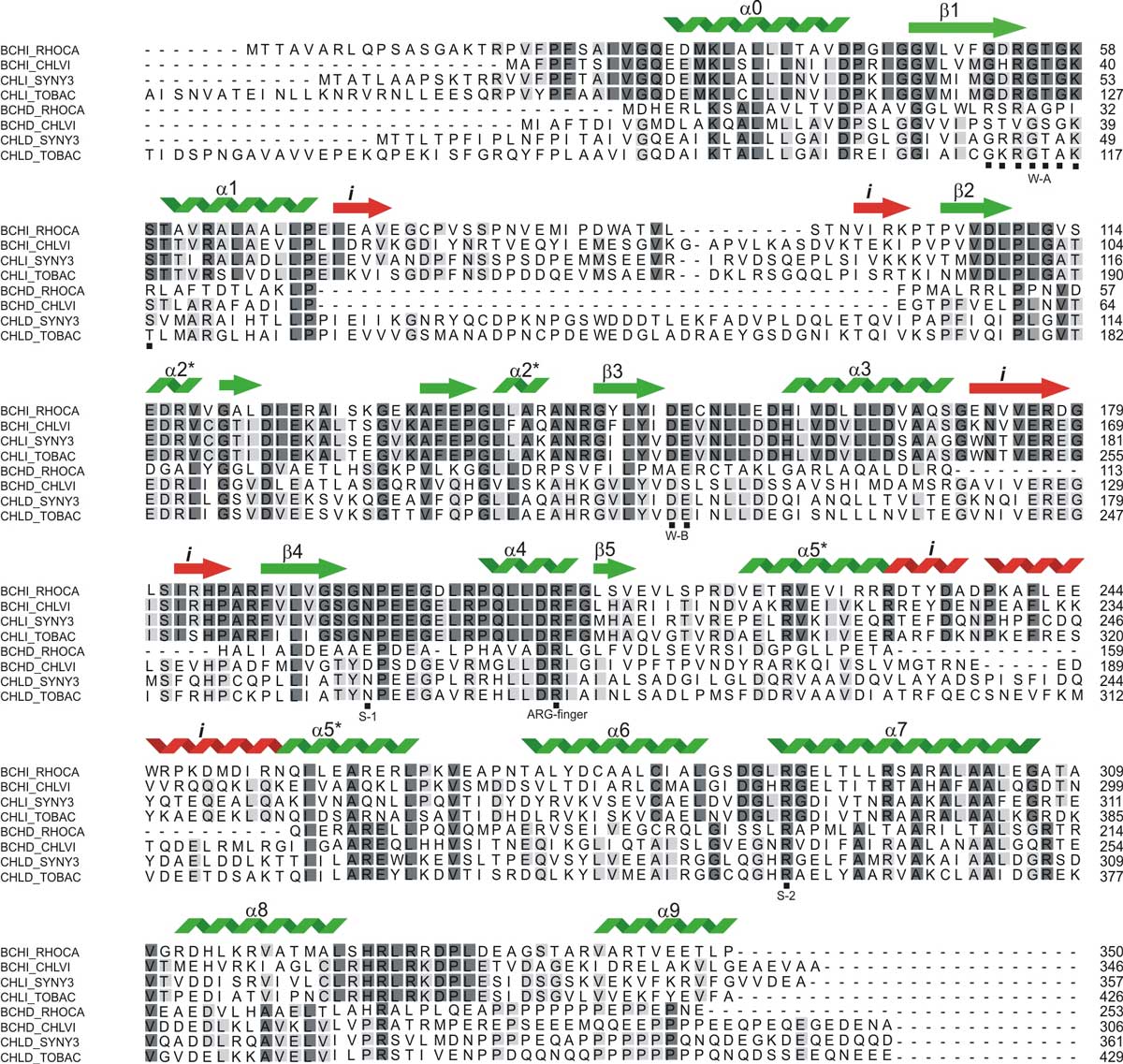 Multiple Sequence Alignment Scoring Methods