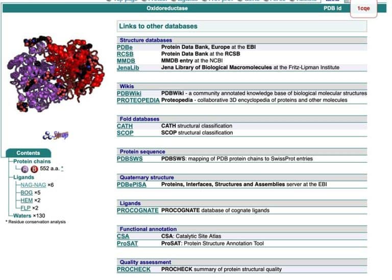 Protein Structure Databases: PDB, PDBe & PDBsum