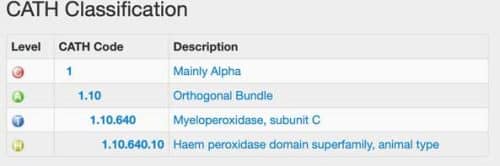 Protein Domains & Fold Classification, CATH Database
