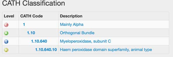 Protein Domains & Fold Classification, CATH Database