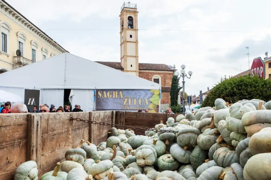 Zucca Bertagnina, la regina dell'autunno vi aspetta a Dorno per una ...