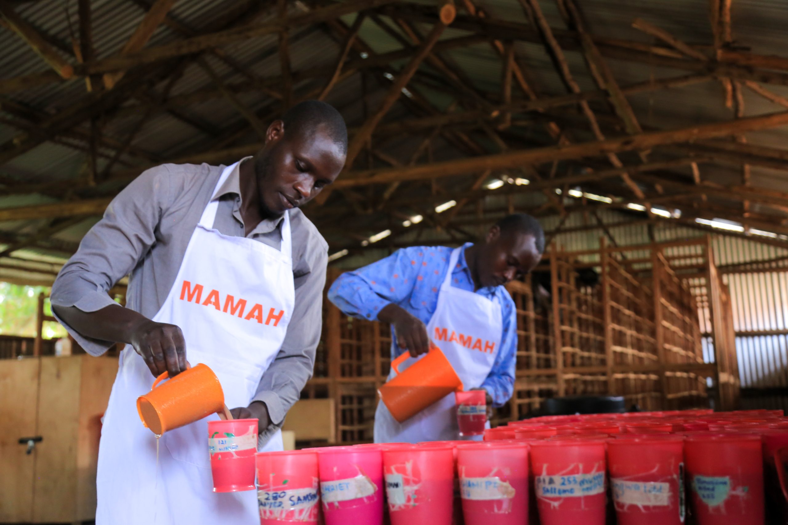 Home - RAISE - Research & Action for Income Security