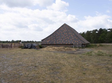 Wellerlooi - Regio-Maasduinen