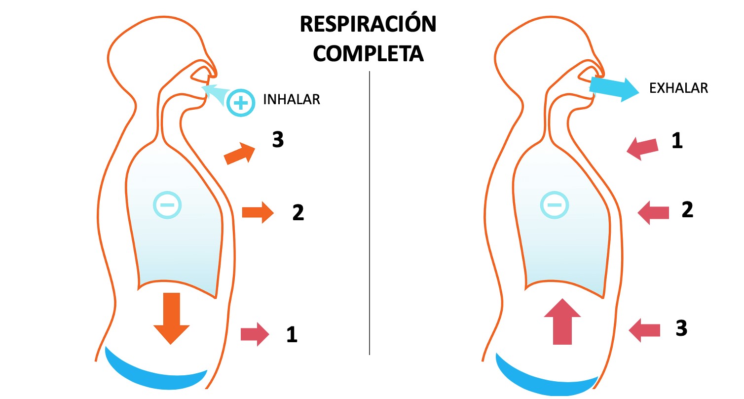 RESPIRACIÓN COMPLETA - Revista Maravillosamente