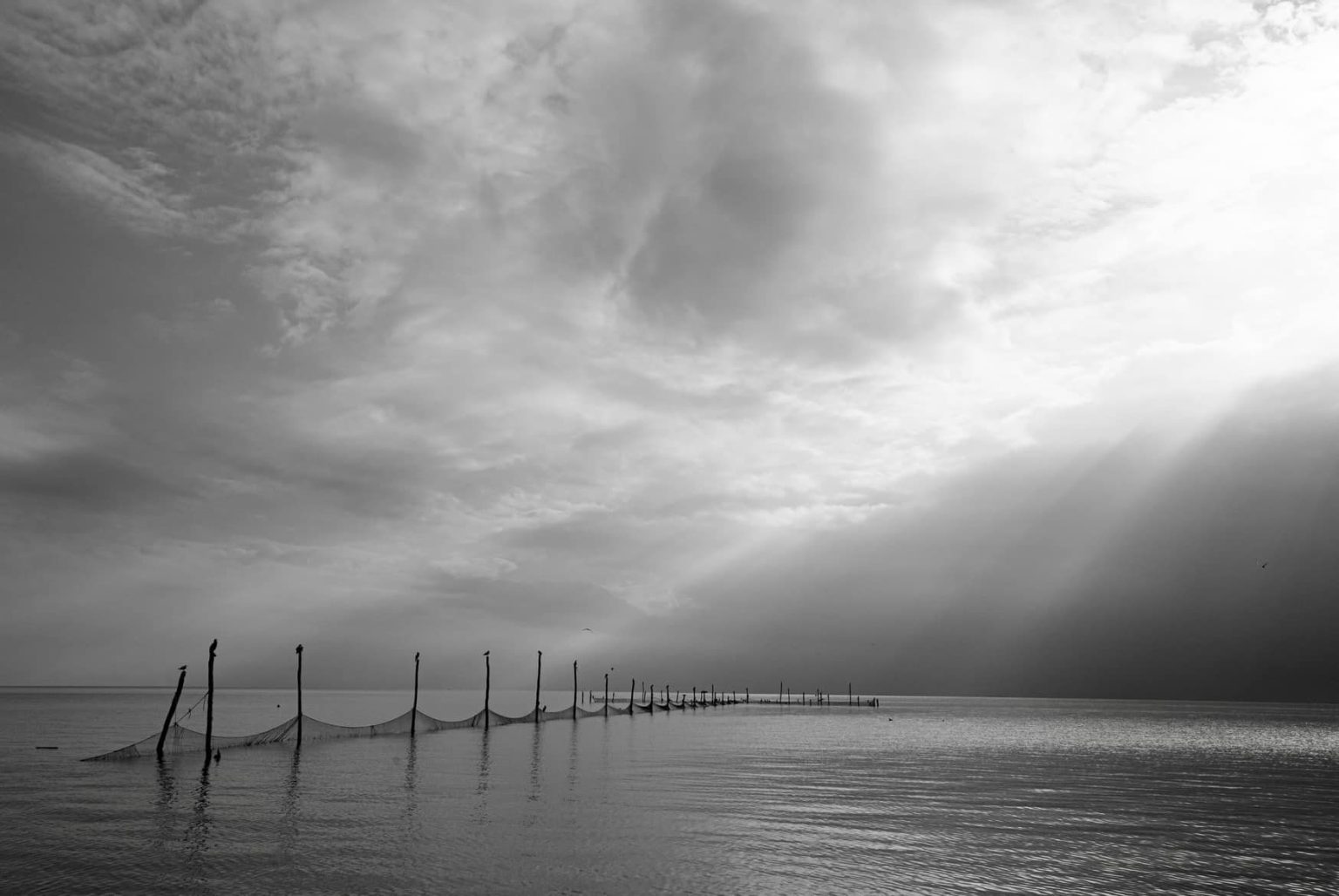 Forside - Ringsted Fotoklub