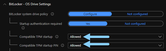 BitLocker Startup PIN