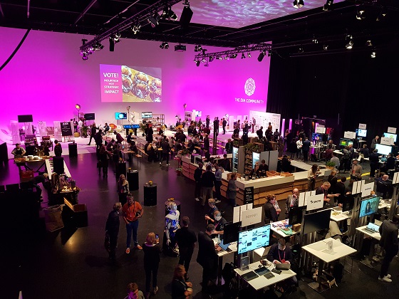 Report Round Table Automation And Ai In Insurance Rockingrobots