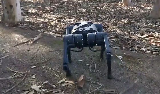 New Algorithms Help Four Legged Robots Run In The Wild Rockingrobots