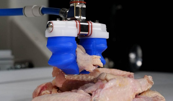 AI accelerates food processing automation - Rockingrobots