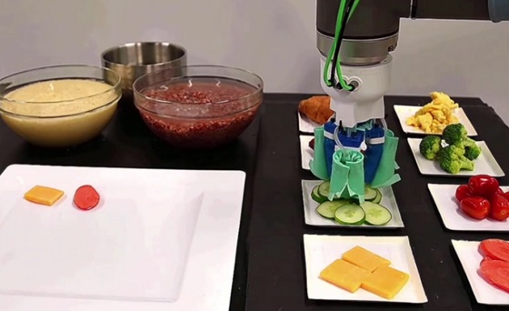 Research: robotic hand can help pick food and plate a dish - Rockingrobots