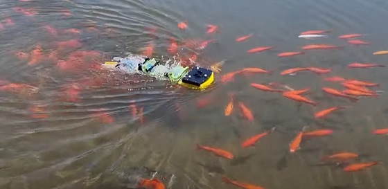 Engineers develop fast and efficient amphibious robot - Rockingrobots