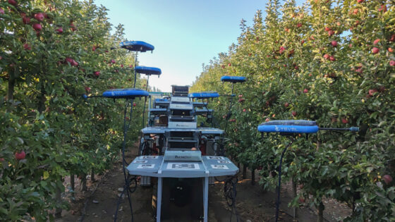 AI-Driven Robots Pick Fruit in Apple Orchards - Rockingrobots AI-Driven Robots Pick Fruit in Apple Orchards - Rockingrobots