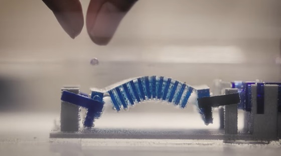 Snail-inspired robot targets ocean microplastics - Rockingrobots