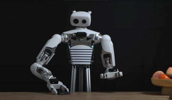 Pollen Robotics Shows Capabilities For New Humanoid Robot Rockingrobots