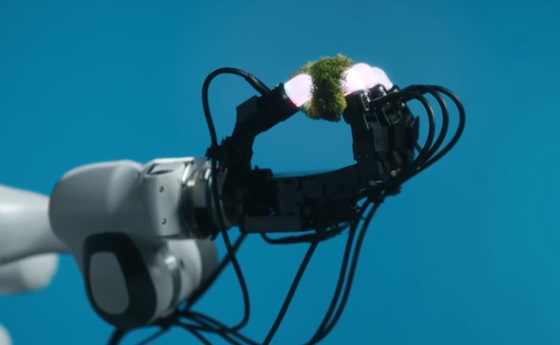 Meta Moves Further Into Robotics Market - Rockingrobots