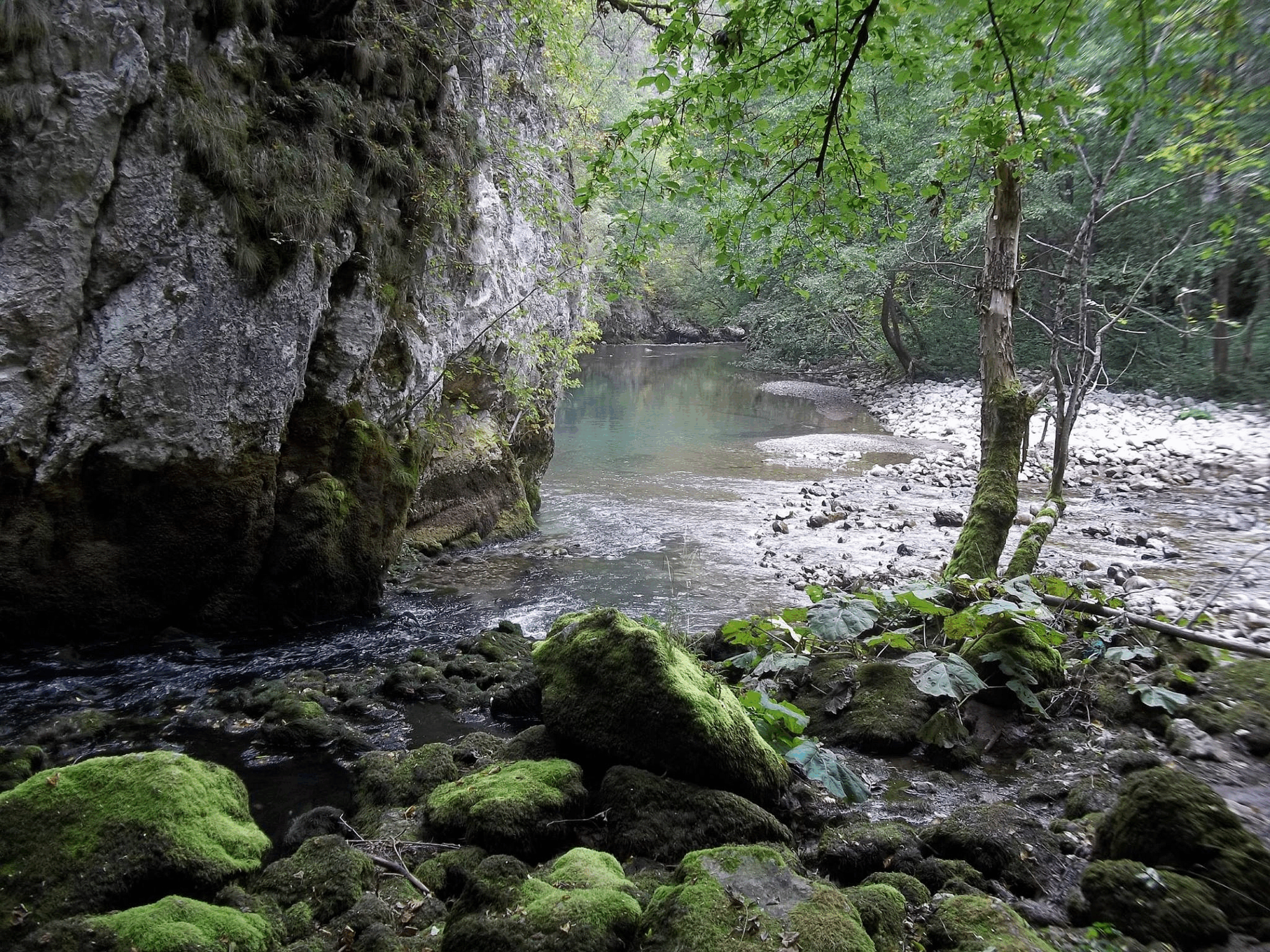 Rogaticu vrijedi posjetiti: Park prirode “Prača”, pećine, vodopadi ...